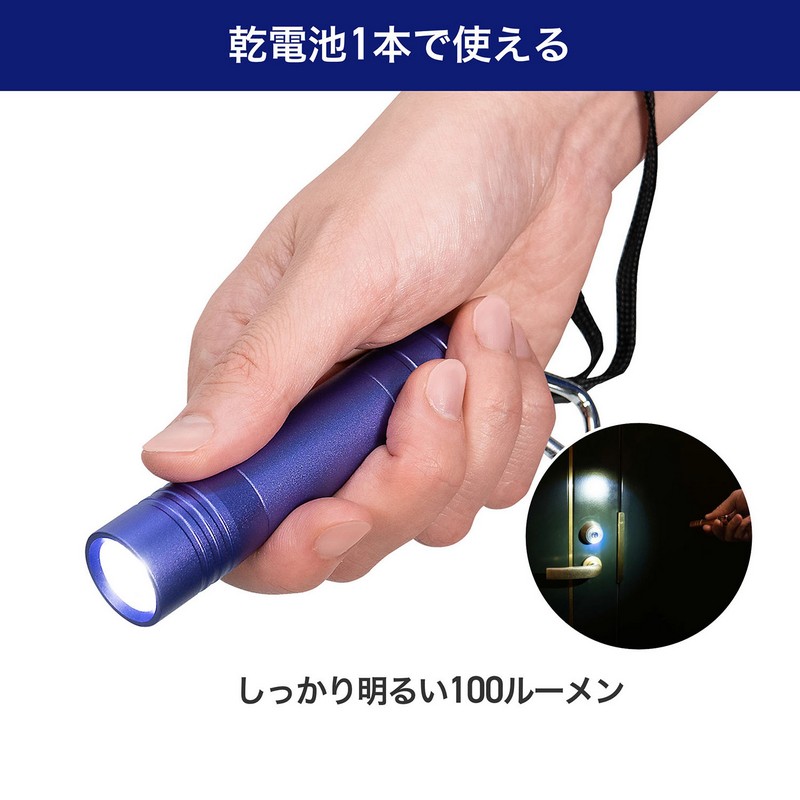 エルパ(ELPA) LEDカラーアルミライト 100ルーメン 単3形乾電池1本 バイオレット DOP-EP302(V) ｜ エルパ・ダイレクト